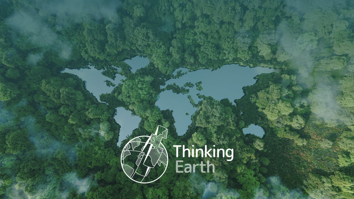 Copernicus Foundation Models for a Thinking Earth